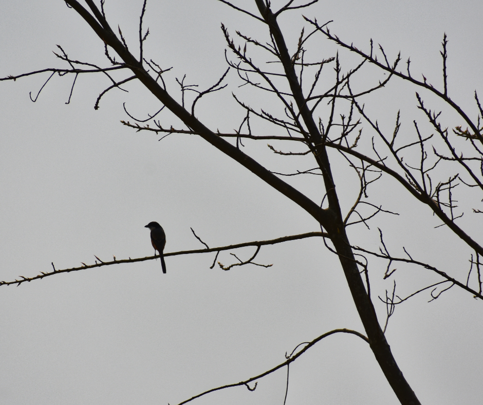 MJESTA NELAGODE: Rodin ugriz - LGBTI.ba